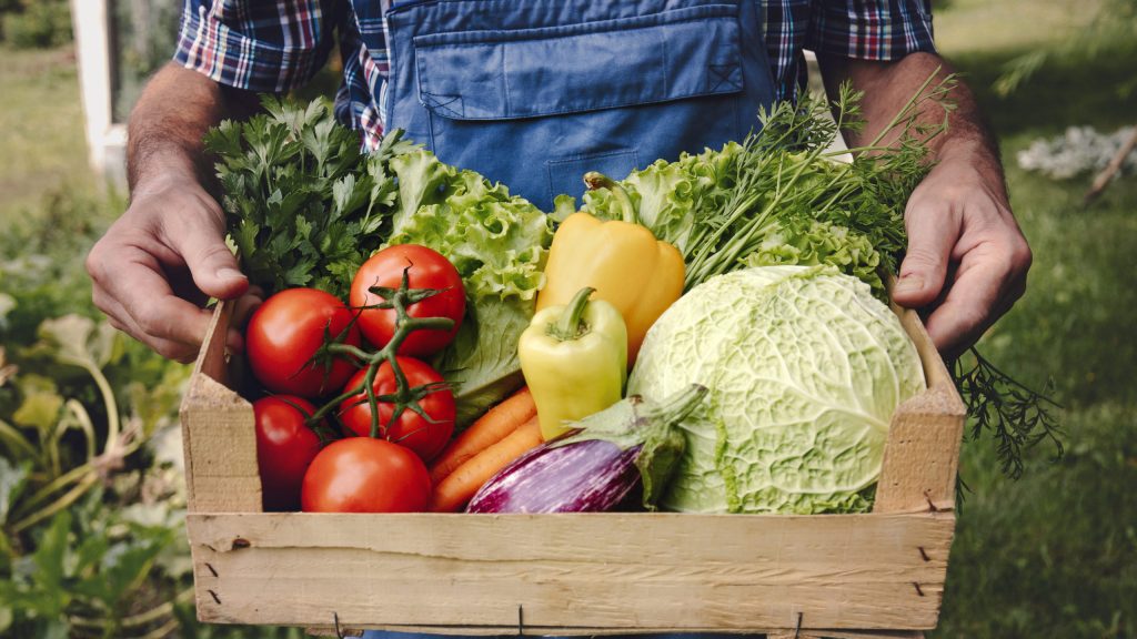 Facing mounting tensions, EU must find quick answers to divisive agri ...